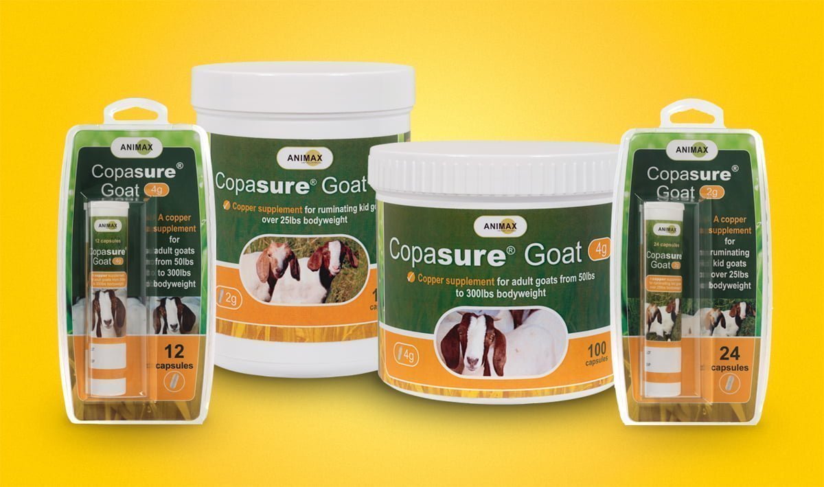 Product Spotlight: Copasure® for Goats - Durvet