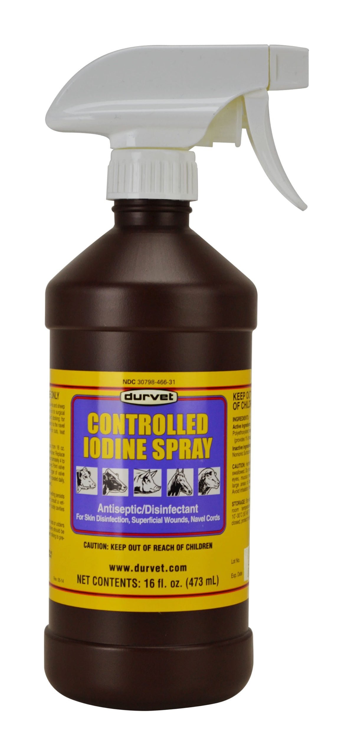 Chlorhexidine Solution - Durvet