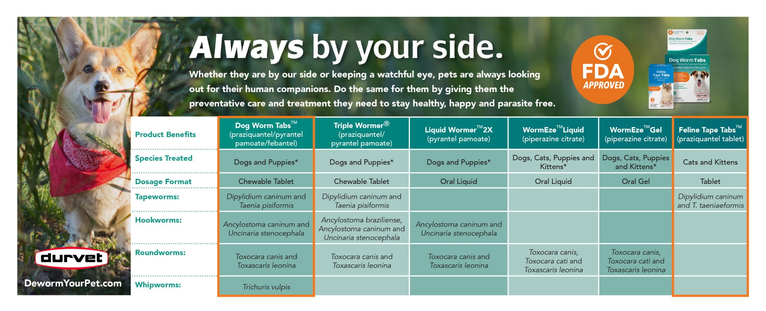 Durvet Pet Dewormer Comparison Shelf Talker - Durvet